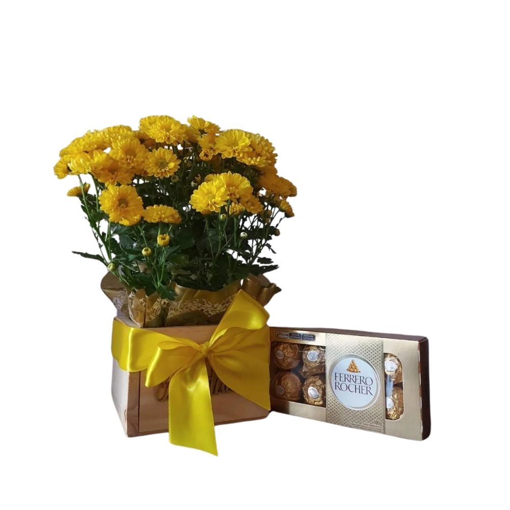 Mini Margarida Amarela na Caixa com Ferrero Rocher - Floricultura Flor ...